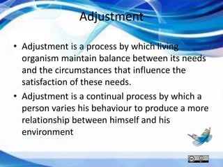 Adolescence : Issues and Concerns | PDF