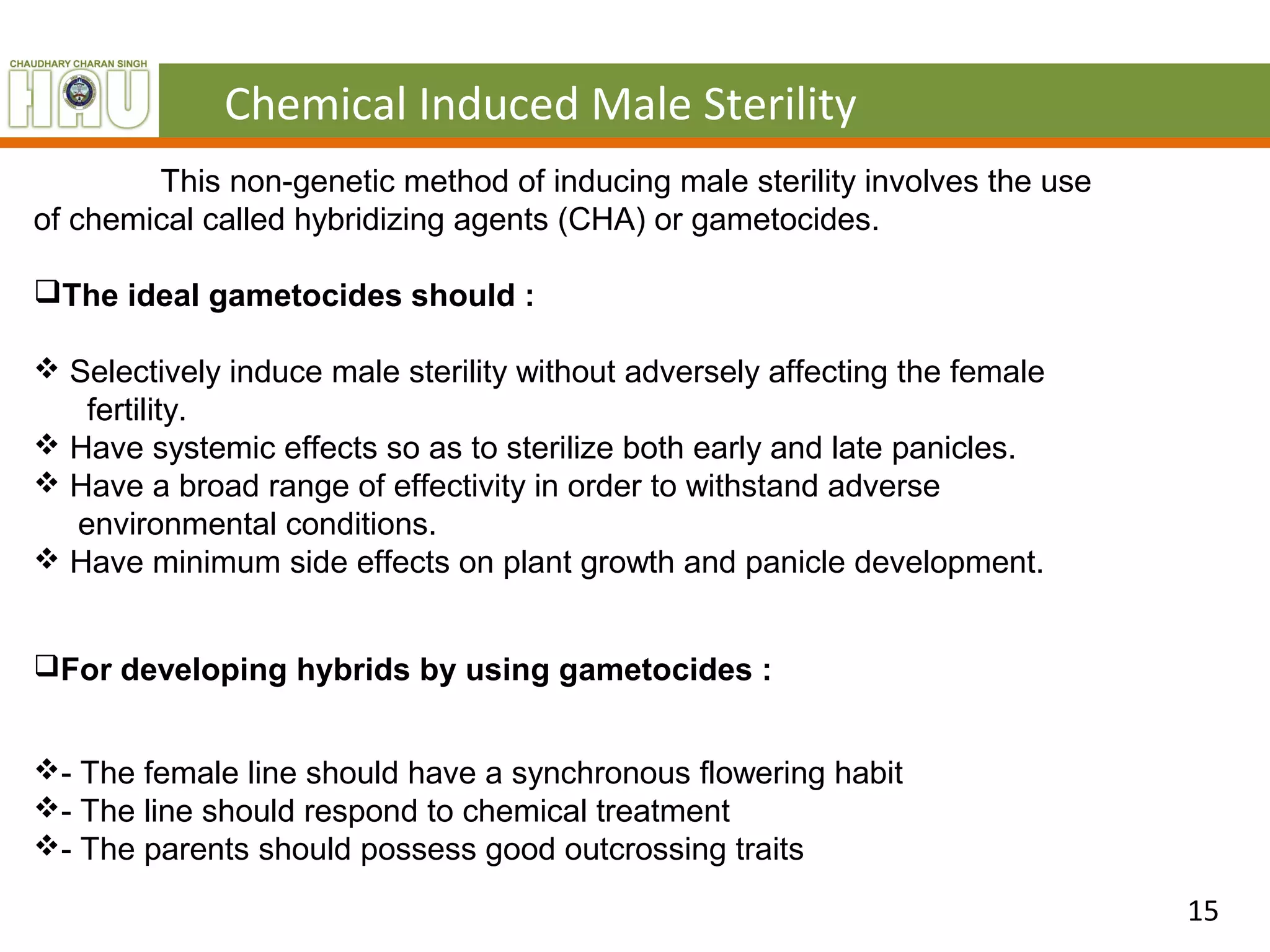 Heterosis Breeding in Rice (Hybrid Rice) | PPT
