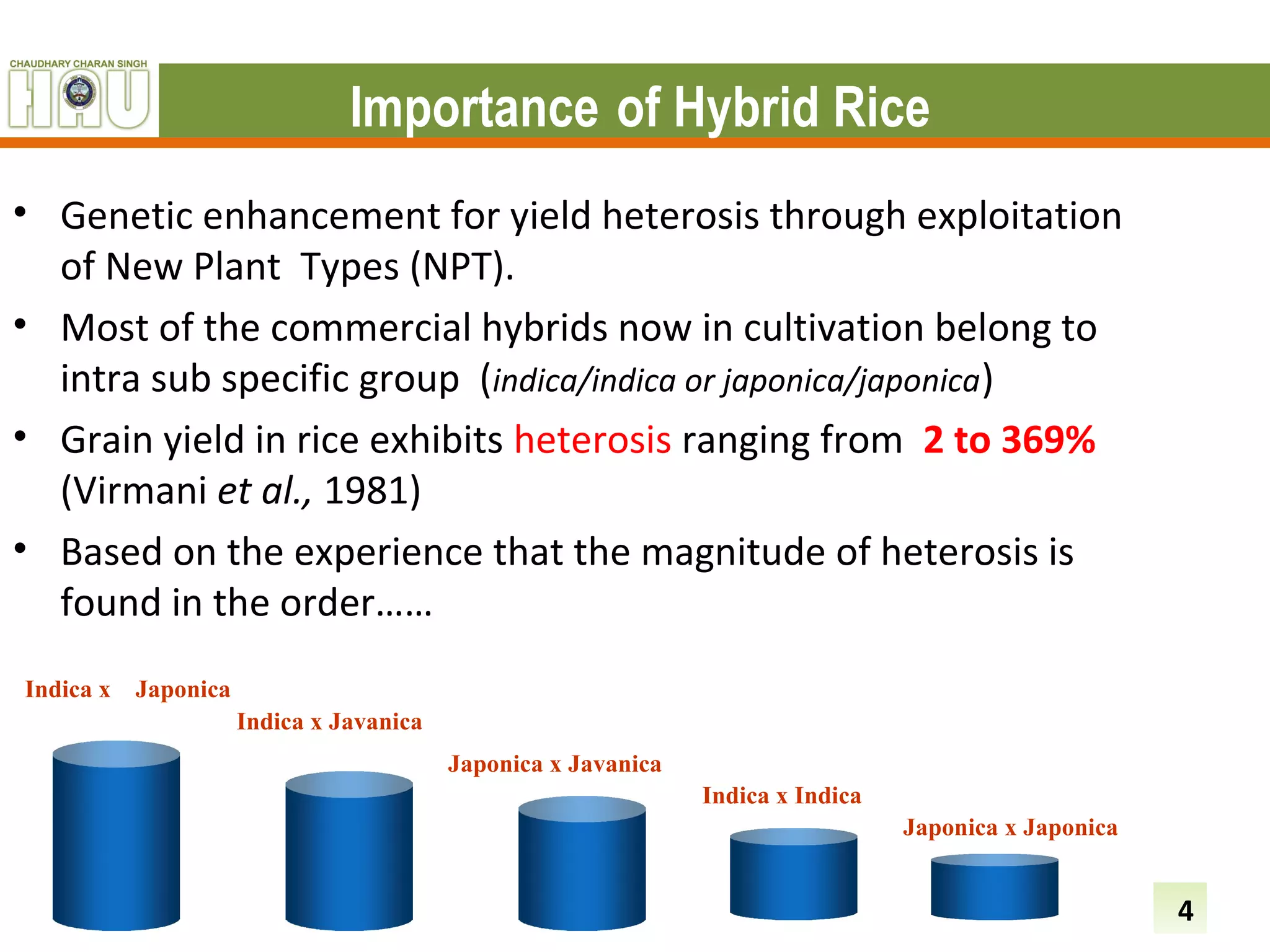 Heterosis Breeding in Rice (Hybrid Rice) | PPT