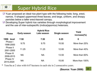 Heterosis Breeding in Rice (Hybrid Rice) | PPT