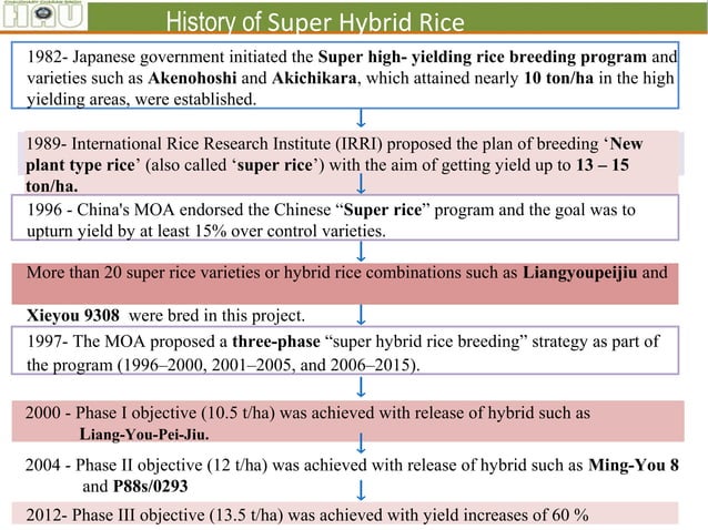 Heterosis Breeding in Rice (Hybrid Rice) | PPT