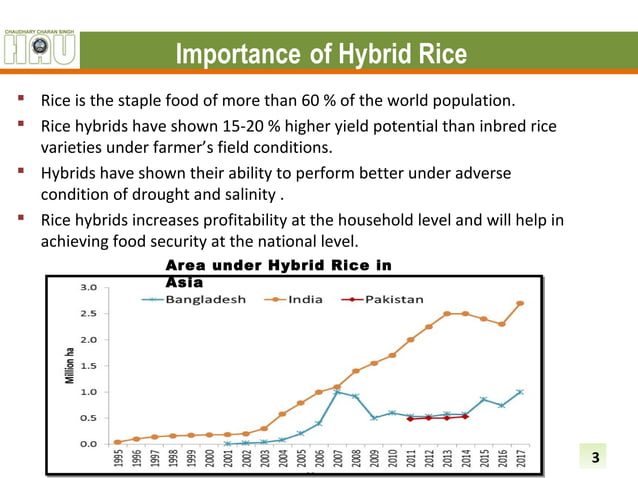 Heterosis Breeding in Rice (Hybrid Rice) | PPT