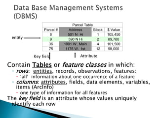 UG6thSem_major_GIS Data Structures.pptx DR P DAS.1.pptx