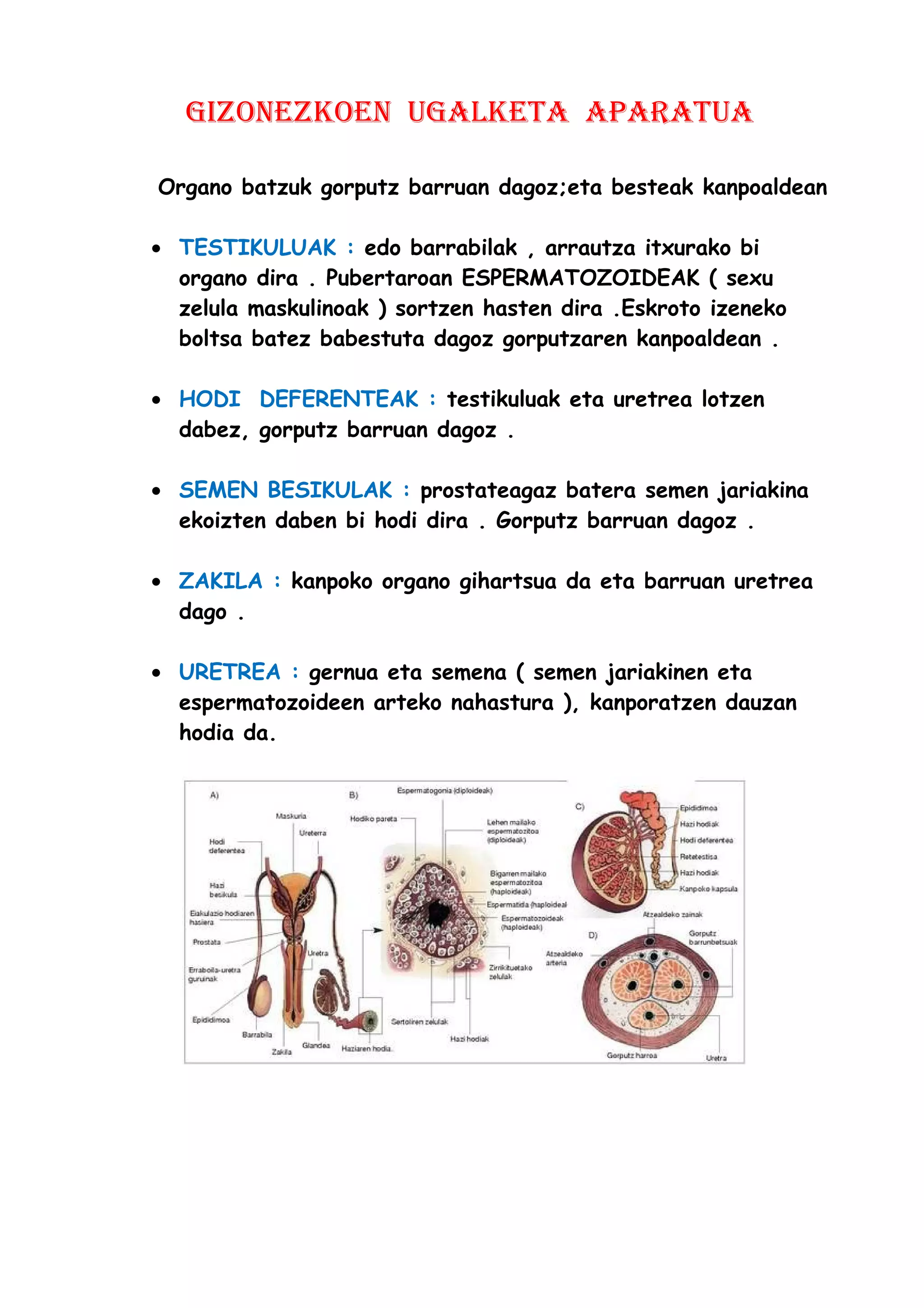 Ugalketa funtzinoa ibon- | PDF