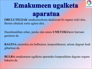Ugalketa funtzioa | PPT