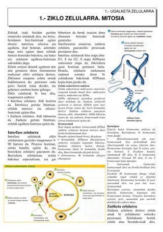 Ugalketa zelularra 1314 | PDF