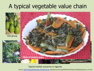 Uganda consortium presentation | PPT