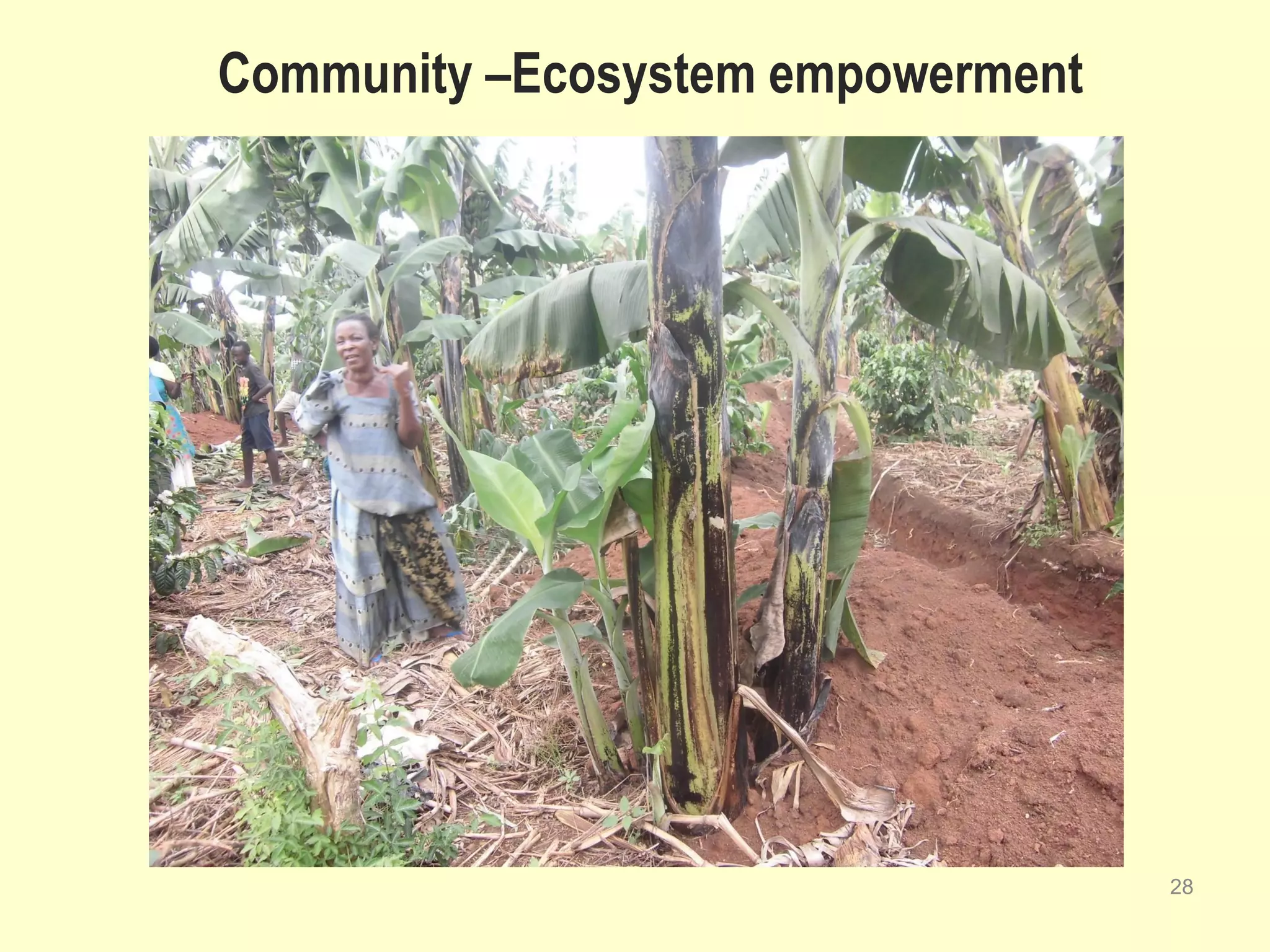 Uganda Country Experience Ecosystem-based Approaches to Climate Change ...
