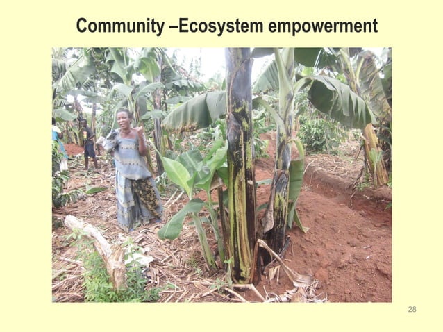Uganda Country Experience Ecosystem-based Approaches to Climate Change ...