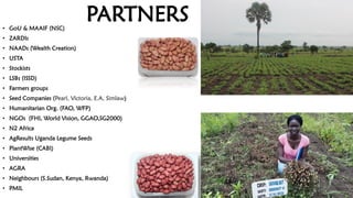 Uganda Groundnut Seed Roadmap TL III Annual Meet | PDF