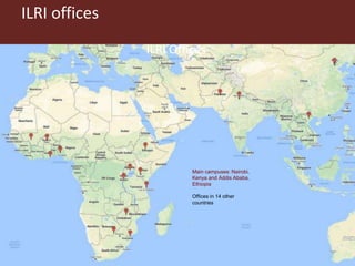 Introduction to ILRI and overview of value chain approach | PPTX ...
