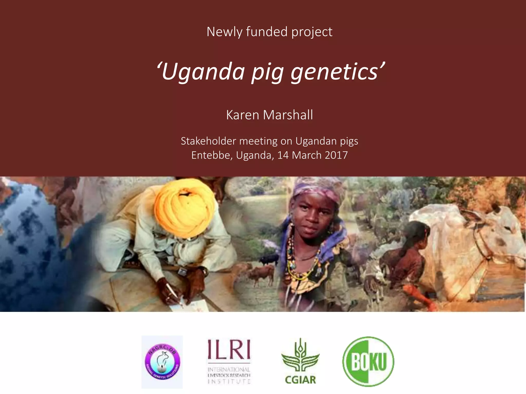 Uganda pig genetics | PPTX
