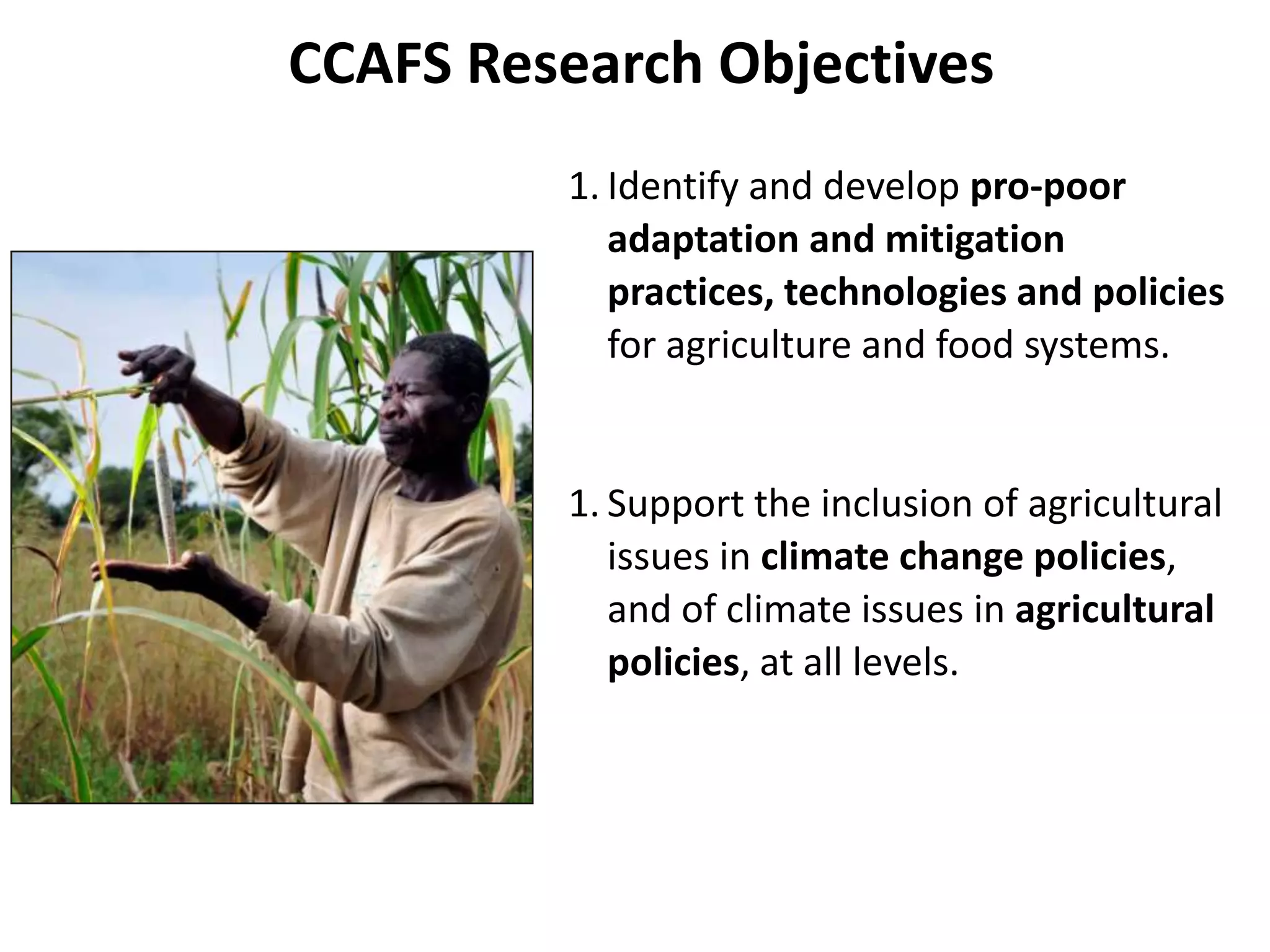 Taking Forward the Implementation of the Agriculture Priority Actions ...