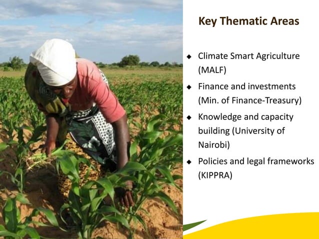 Taking Forward the Implementation of the Agriculture Priority Actions ...