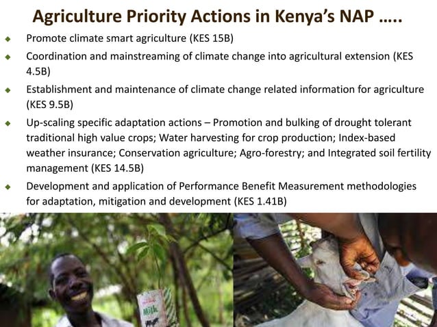 Taking Forward the Implementation of the Agriculture Priority Actions ...