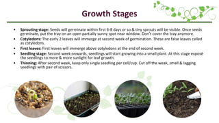 Ugaoo seed sowing instructions for fruiting vegetable: Brinjal | PPT