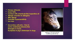 Skin disease in animals with pathogenesis and various lesions | PPTX