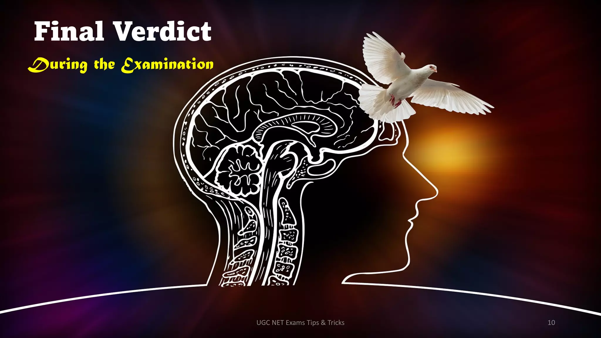 UGC NET Examination - Preparation Tips and Strategy | PDF