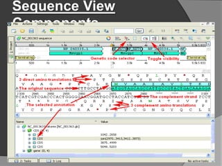 Ugene Bioinformatics software | PPTX