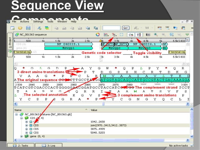 Ugene Bioinformatics software | PPTX | Chemistry | Science