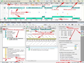 Ugene Bioinformatics software | PPTX