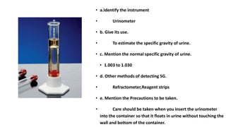 UG EXAM PRACTICALS.pptx