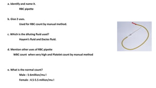 UG EXAM PRACTICALS.pptx