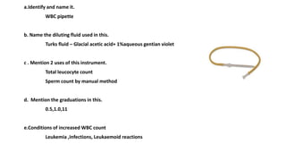 UG EXAM PRACTICALS.pptx