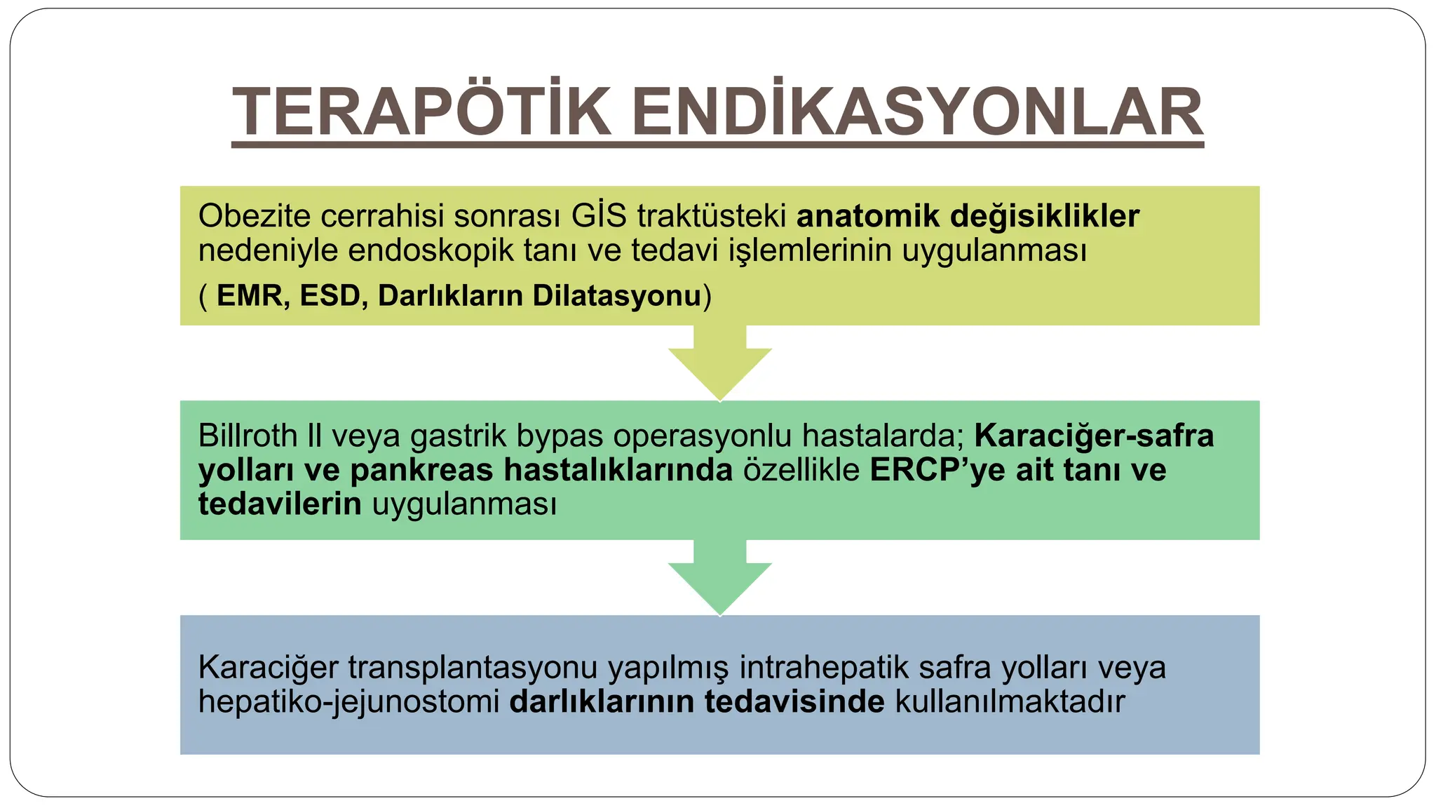 endohem Ulusal Gastro H 2023 endohem .pptx