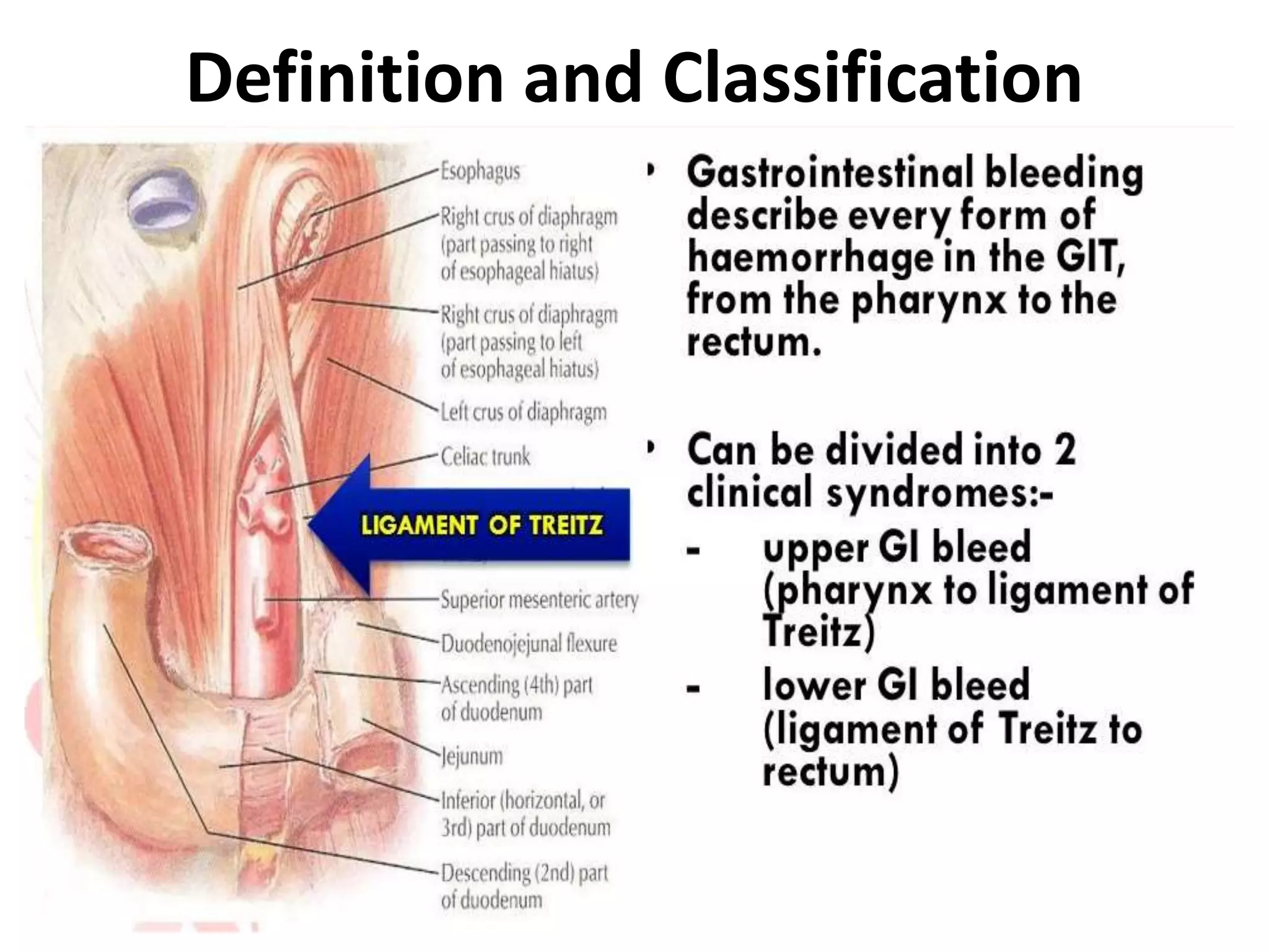 UGIB - ppt 2023.pptx