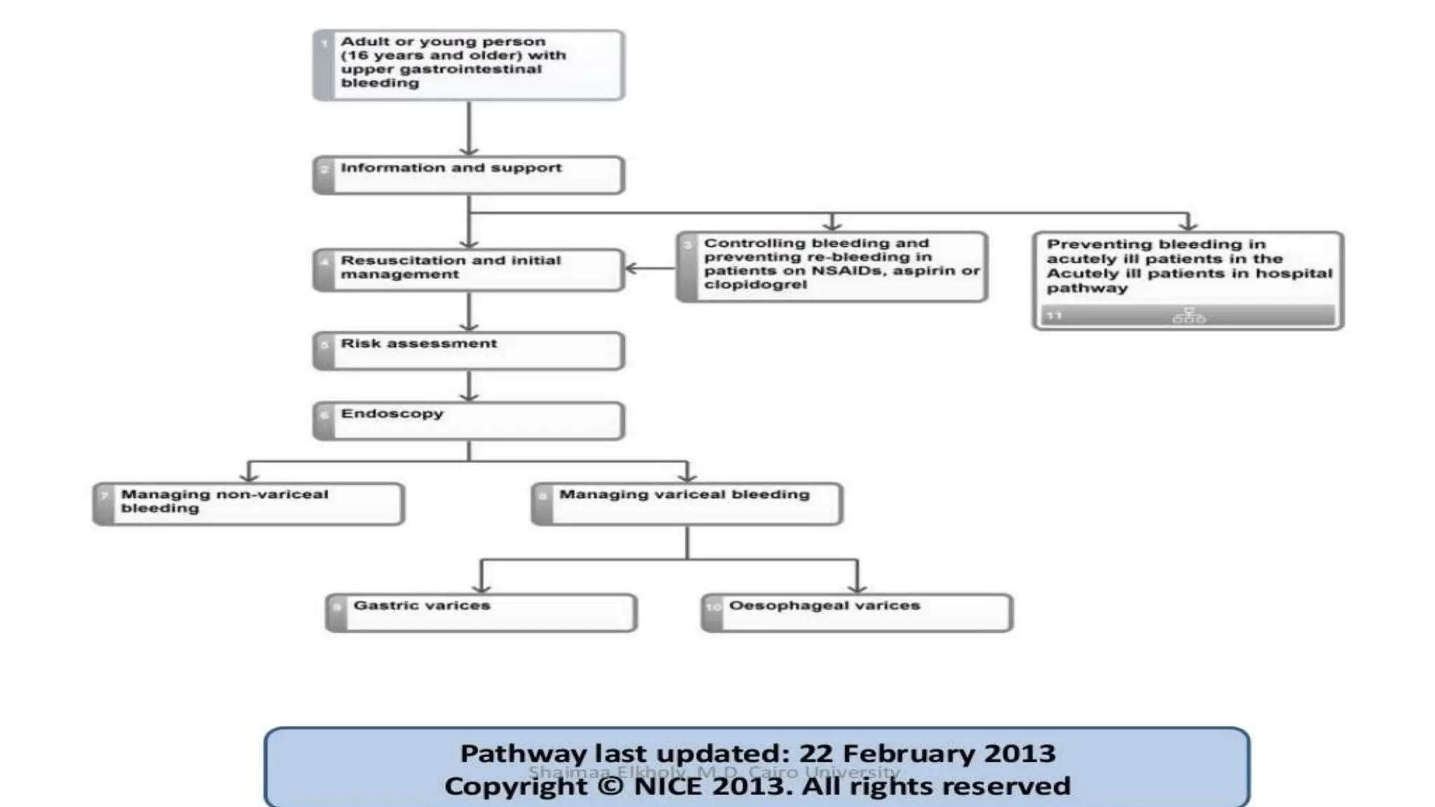 Upper GI bleeding (UGIB) Lecture Ppt.pptx