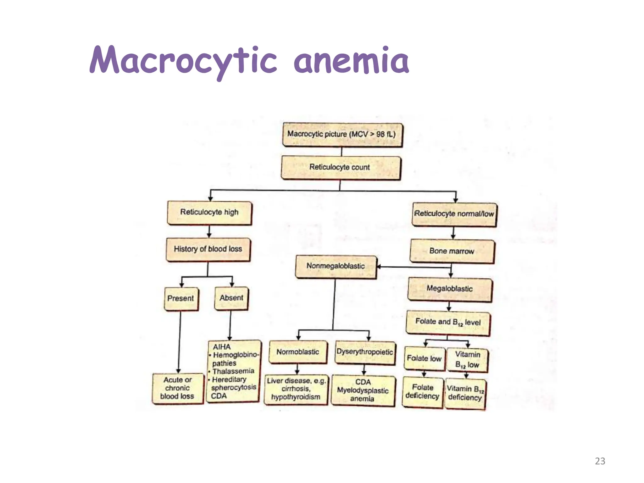 Approach to Anemia in Children - UG MBBS | PDF