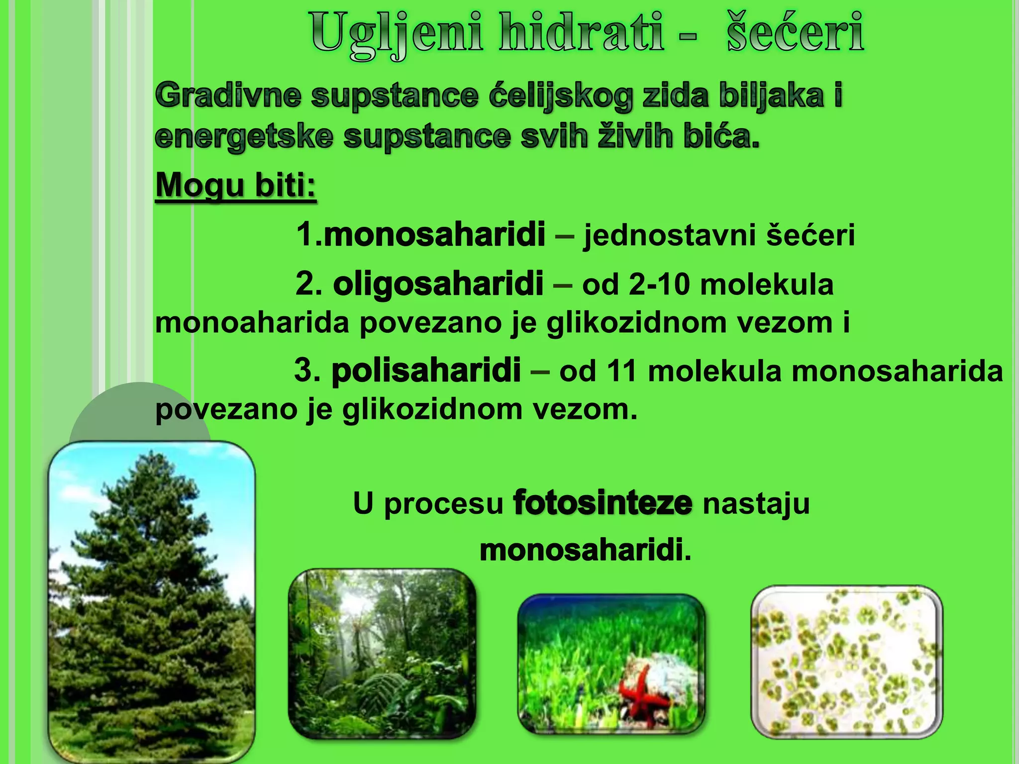 Ugljeni hidrati | PPTX