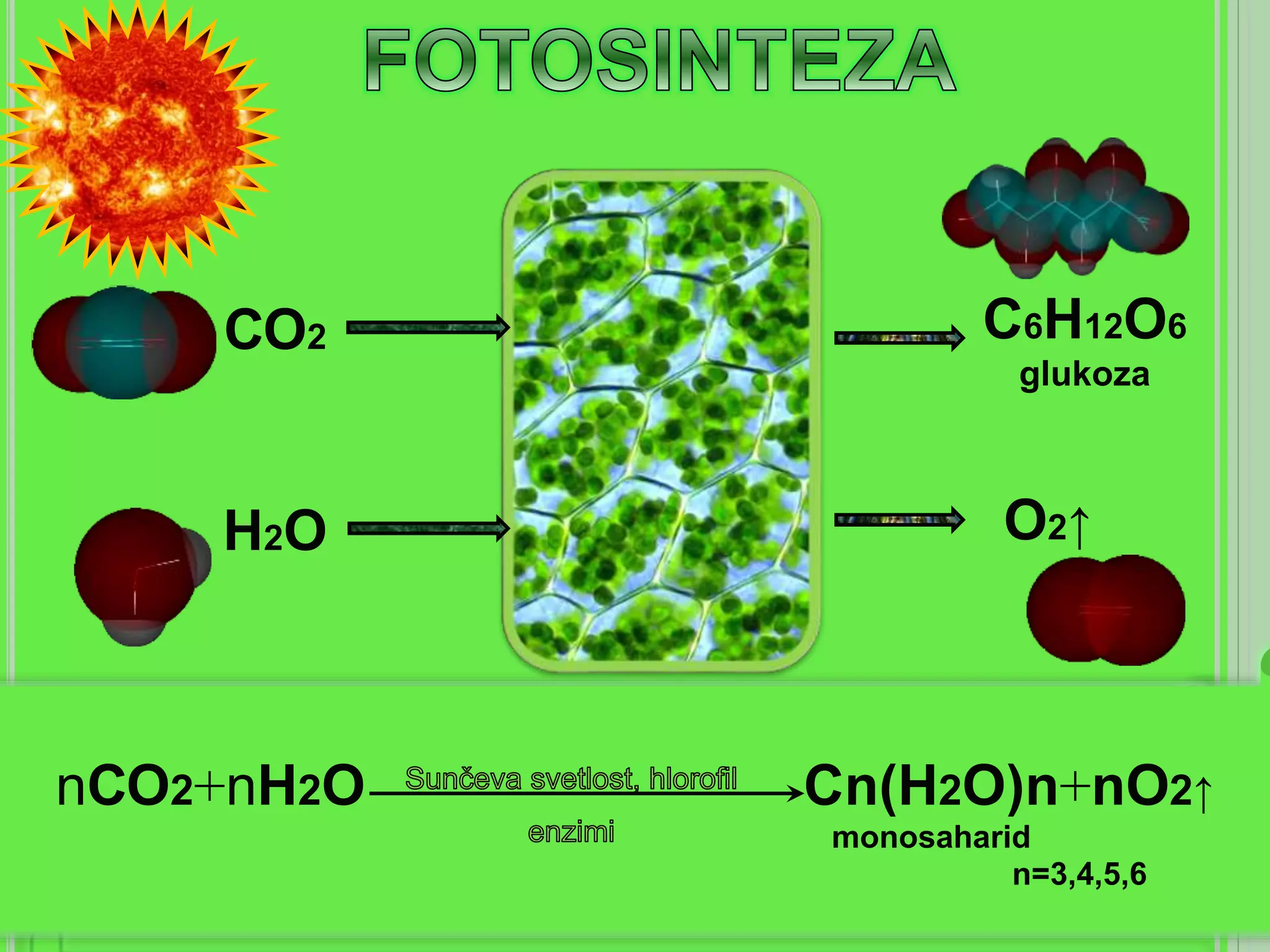 Ugljeni hidrati | PPTX