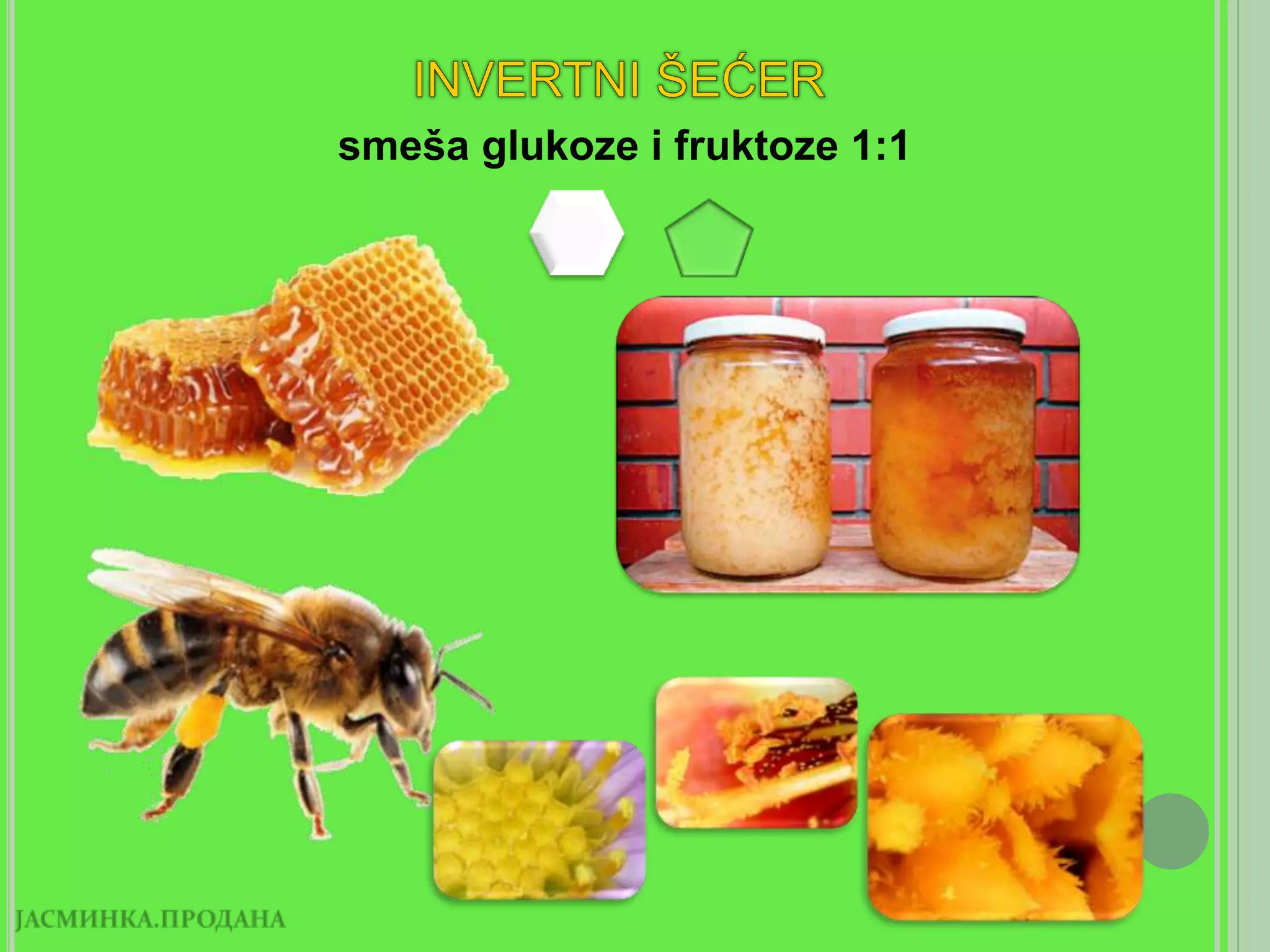 Ugljeni hidrati | PPTX