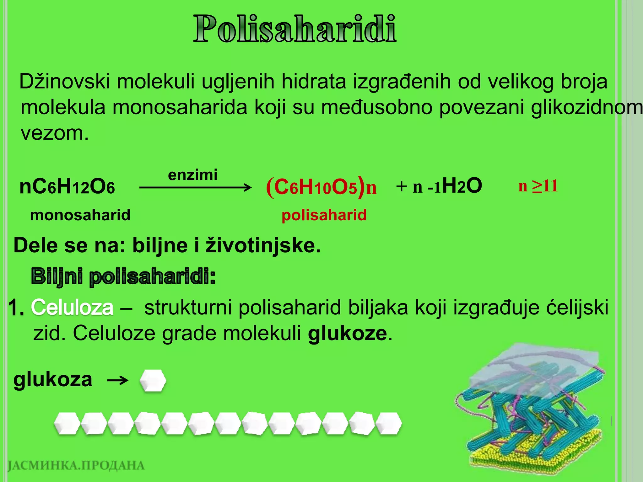 Ugljeni hidrati | PPTX