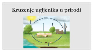 Ugljenik- Prezentacija iz hemije | PPTX