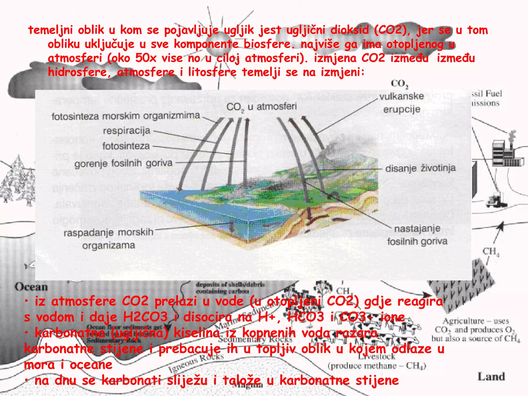 Ugljik i fosfor | PPT
