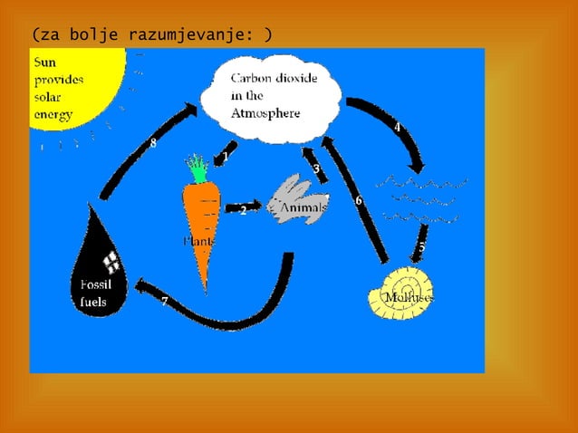 Ugljik i fosfor | PPT