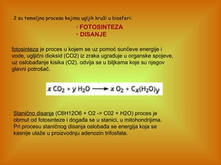 Ugljik i fosfor | PPT