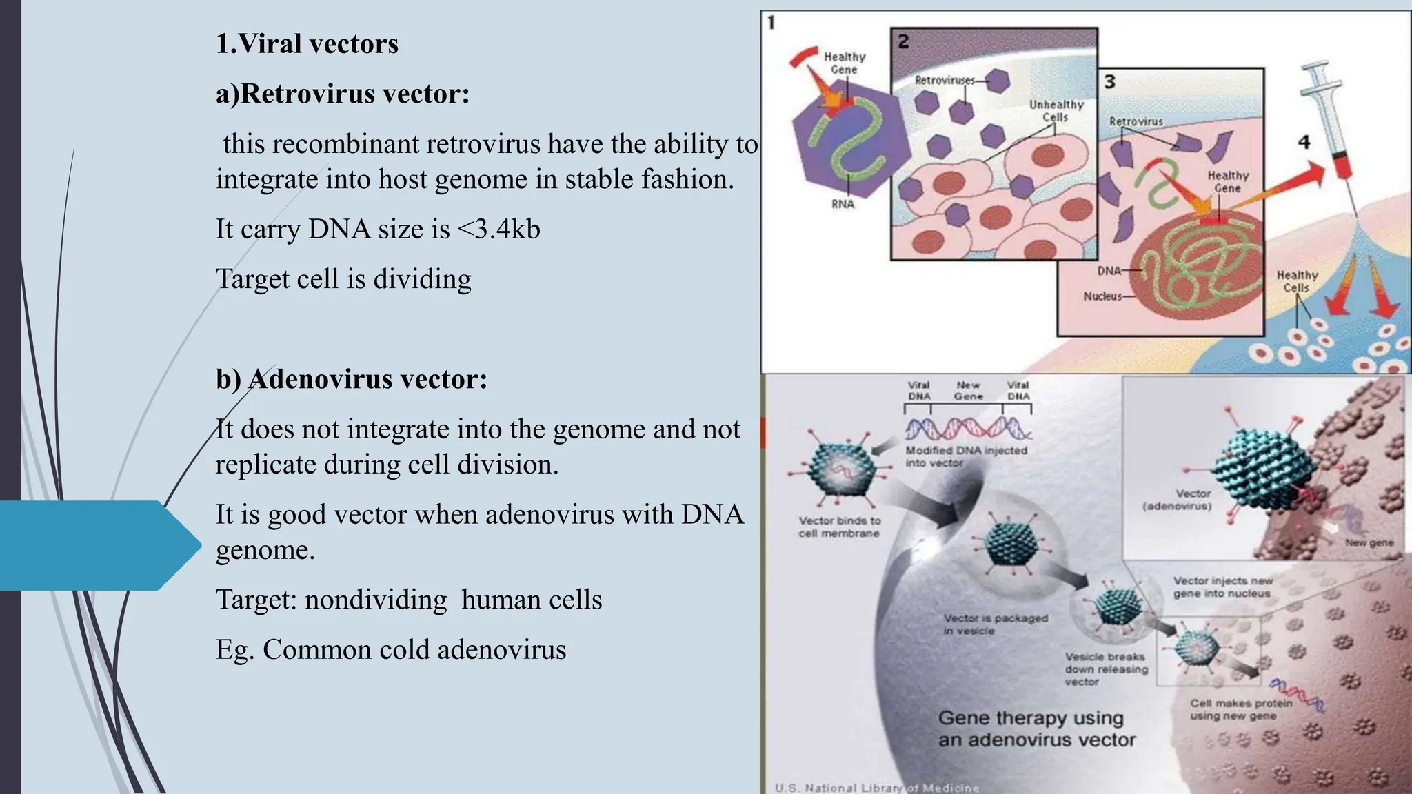Gene Therapy : information of gene therapy techniques | PPTX