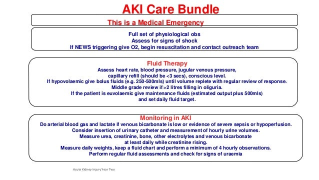 Undergraduate Nurses AKI Year Two