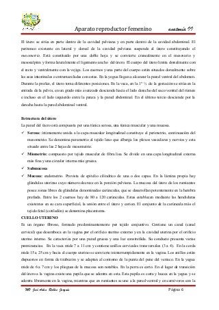 Sistema reproductor femenino | PDF