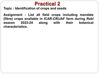 UG Practical guidelines.pptx