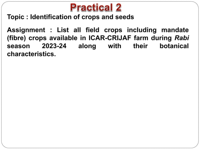 UG Practical guidelines.pptx