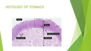 UG PRACTICALS Pathology presentation 2nd year | PPTX