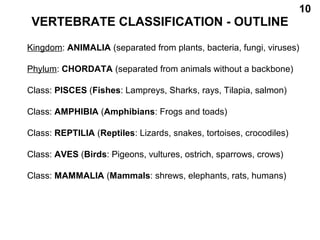 Ugrc142 animals as friends of humans vertebrates | PPT