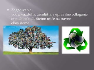 Ugrožene i zaštićene vrste šumskih ekosistema | PPTX