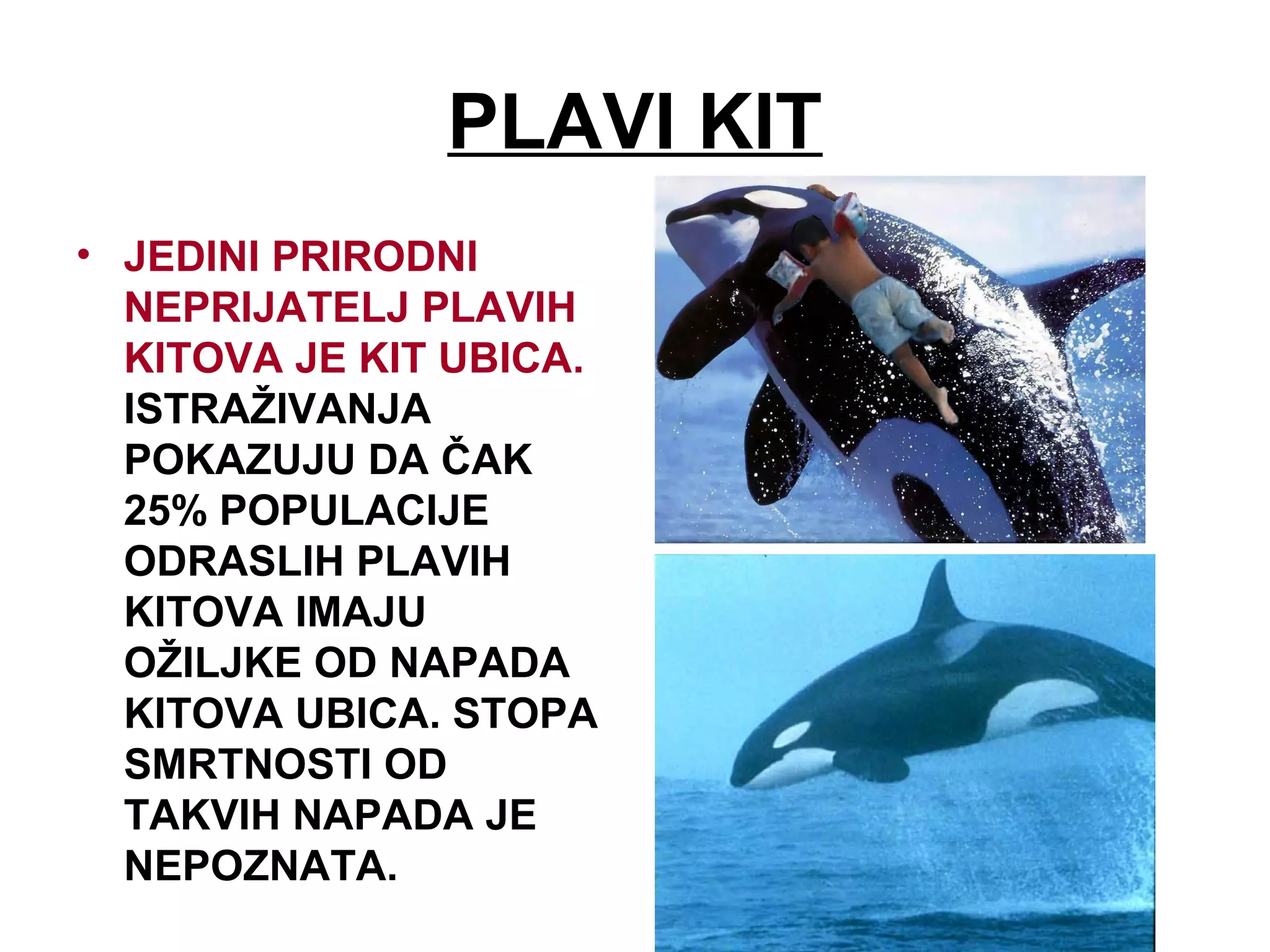 Ugrozene vrste i mjere zastite | PPT