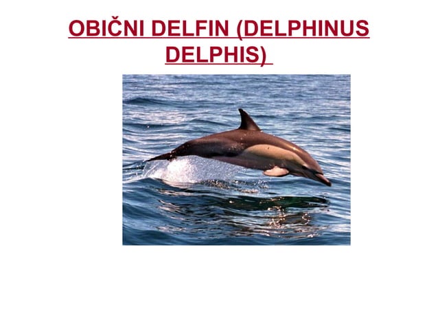 Ugrozene vrste i mjere zastite | PPT | Music | Entertainment